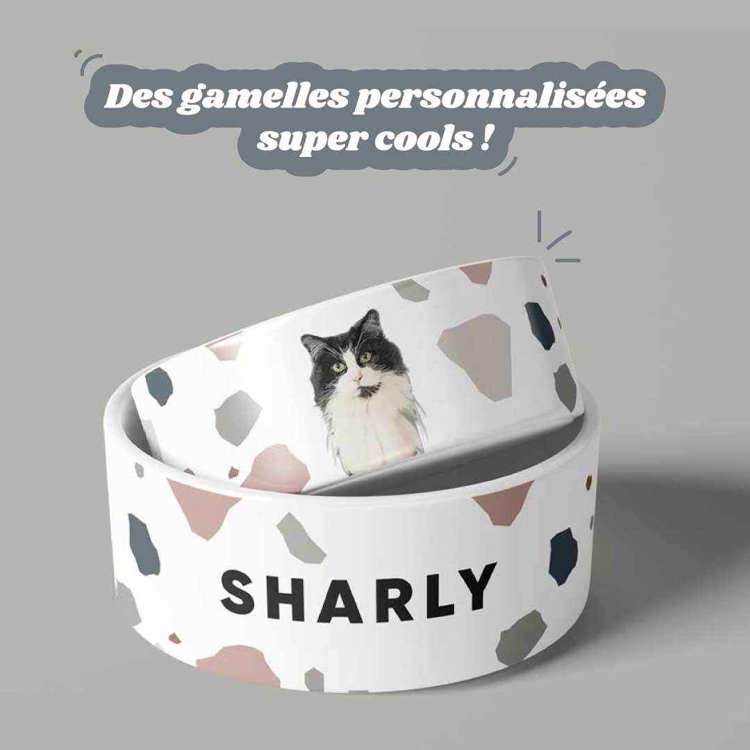 Collections – Klem Klem